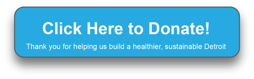 Detroit - 2030 Districts Network